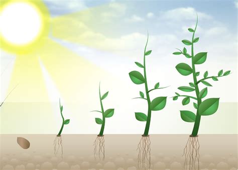 Төв аймаг Tuv Province ЗҮҮН ХОЙД АЗИЙН ОРНУУДЫН БҮС НУТГУУДЫН ЗАСАГ ЗАХИРГААДЫН ХАРИЛЦАА