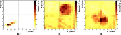 Examples Of D3 Frames For A Lissajous Figures Of An Analogue