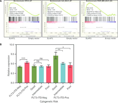 Slap2 Expression Led To Better Survival In Flt3 Itd Positive Aml A Download Scientific