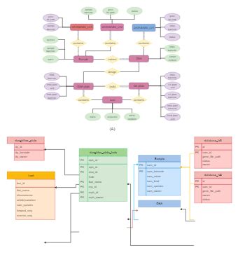 Chen Erd Templates EdrawMax Free Editable