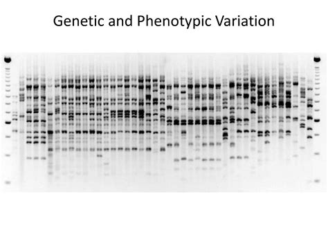 Lecture Slides Lecture 3 Warning Popup Annotation Has A Missing Or