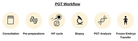 Steps Involved In Pgt Preimplantation Genetic Testing
