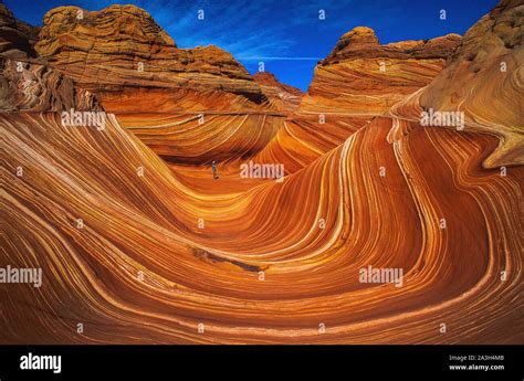 United States Arizona The Wave V National Monument Spectacular Rock