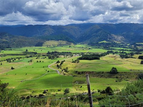 Which Came First The Kiwi The Kiwi Or The Kiwi By Tim Ward Mature Flâneur Globetrotters