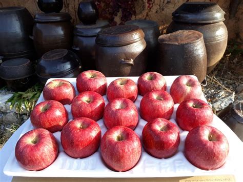 사과의 효능 문경사과 미르샘농원