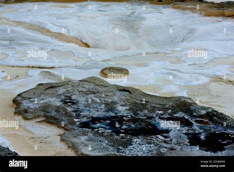 Colorful Geothermal Feature With Rounded Bulbous Geyserite Deposits Of