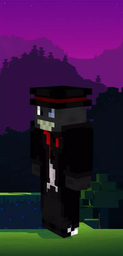 Minecraft Hat Skin