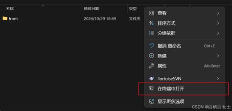 Vue项目创建与目录调整 Csdn博客