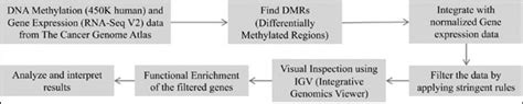 Editors Choice Integration Of Dna Methylation Data And Gene Expression Data For Prostate
