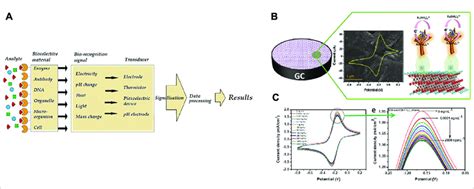 A The Biosensor Processes Principle Kivirand Et Al 2013 Download Scientific Diagram