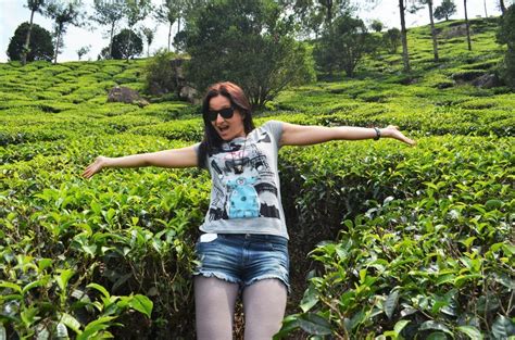 Munnar Kerala India Crazy Sexy Fun Traveler Travel Blog About Adventure And Spa