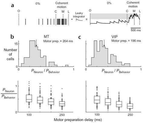 Single Neuron Detection Performancea Applying The Neurometric