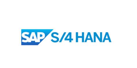 Erp Consulting And Implementation Services Eleks