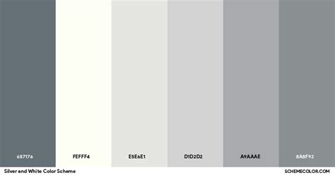 What Color Goes With Gray And White