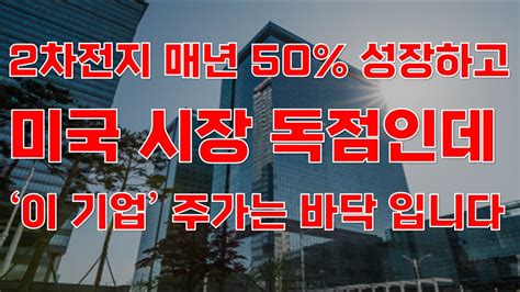 상한가 2차전지 매년 50 성장하는 이 기업 미국 시장 독점인데 주가는 바닥이에요 2차전지관련주 에코프로비엠 주식전망 엘앤에프 포스코홀딩스 8월주식전망