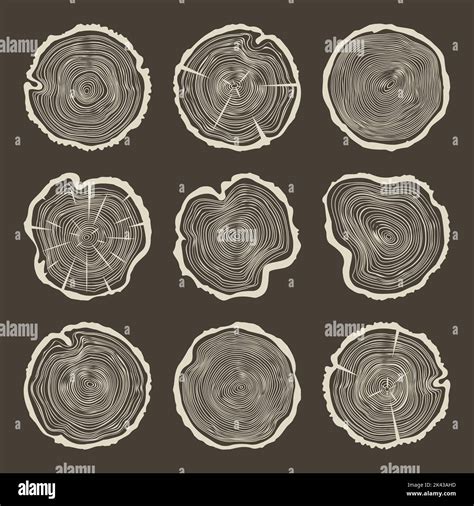 Round Tree Trunk Cuts With Cracks Sawn Pine Or Oak Slices Lumber Saw Cut Timber Wood Brown