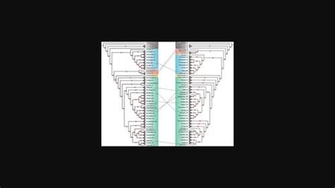 基于核、质体和线粒体数据集的基因组规模被子植物系统发育 Journal Of Integrative Plant Biology X Mol