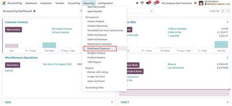 Management Options Odoo 17 Accounting Book