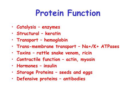 Ppt Protein 3 Dimensional Structure And Function Powerpoint