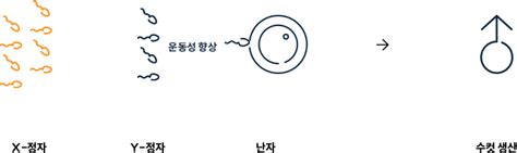 누리사이언스