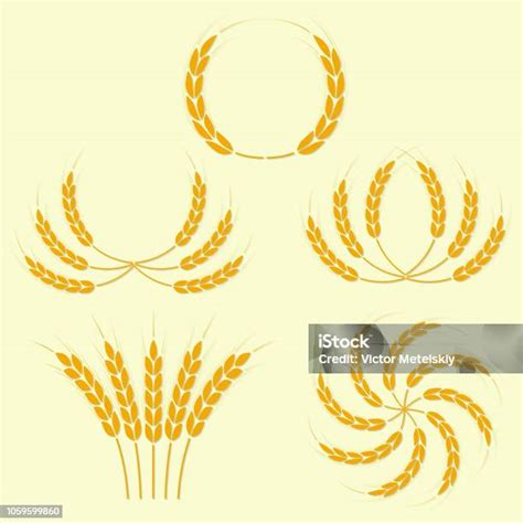 귀 밀 또는 쌀 아이콘 설정합니다 농업 기호입니다 빵 포장 또는 맥주 라벨에 대 한 요소를 디자인 합니다 벡터 일러스트입니다