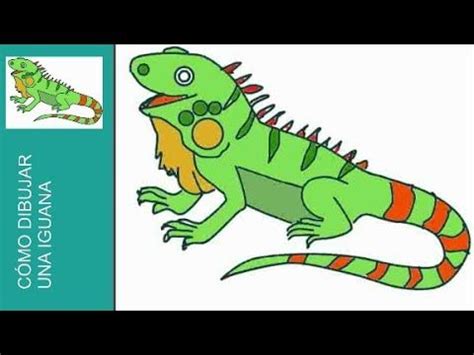 Aprende A Dibujar Una Iguana Realista Paso A Paso Iguana Aprender