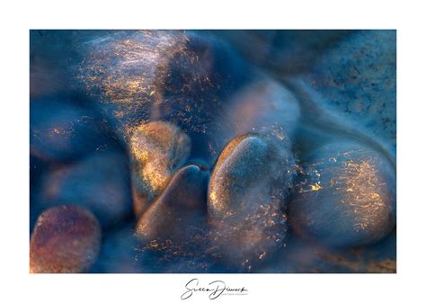 Susan Dimock Photography