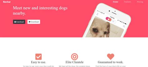 Be Your Front End Web Developer Using Html Css Bootstrap By Amirraza238