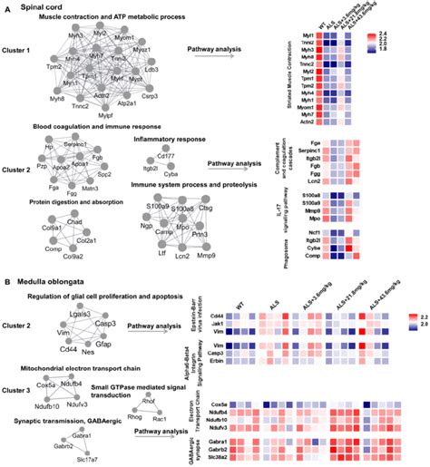 Molecular Complex Detection Mcode Analysis To Find The Core Modules Download Scientific