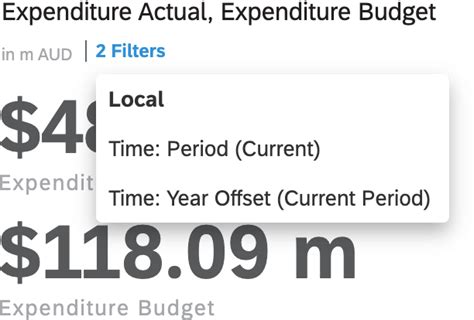 Enabling Dynamic Fiscal Filtering In Sac Bw Live