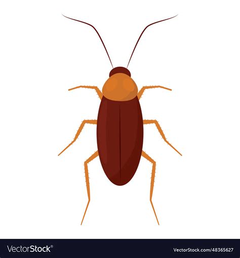 Isolated Colored Cockroach Insect Animal Icon Vector Image