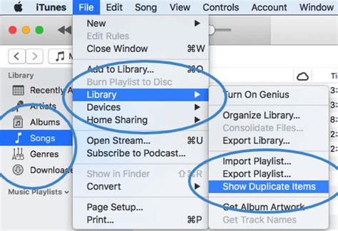 Delete Duplicate Songs In ITunes Library On IPhone And IPad