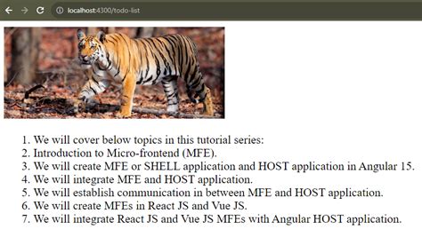 Micro Frontend Application With Angular Realtime Difficulties You