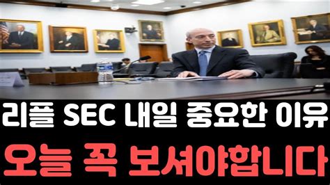 리플전망 리플 Sec재판 소송전 내일이 중요한 이유 소송일정이 나왔기 때문입니다 오늘 영상은 꼭 보셔야합니다 리플전망 리플호재 리플급등 리플코인 리플소송