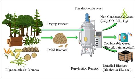Torrefaction Of Lignocellulosic Biomass A Pathway To Renewable Energy