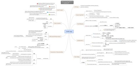 【文献】clip Seqandchip Seq分析流程