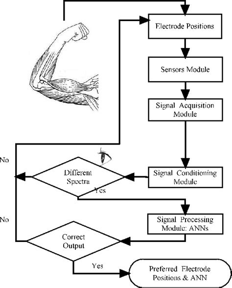 figure 1 from emg pattern recognition system based on neural networks