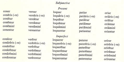 Subjunctive Mood — Latin For Rabbits