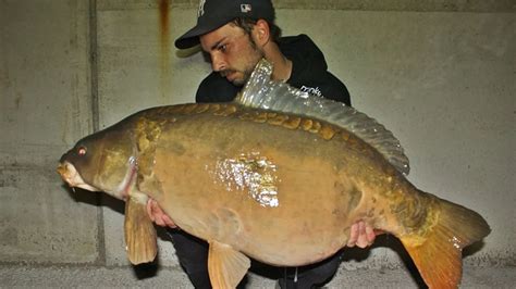 Christian Willert Die Jagd Nach Banana Joe Carpzilla Dein Karpfen Portal