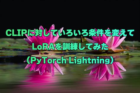 clipに対していろいろ条件を変えてloraを訓練してみた（pytorch lightning） shikoan s ml blog