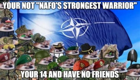 Black Mold Poisoning 😁👍 R Coolpictures1