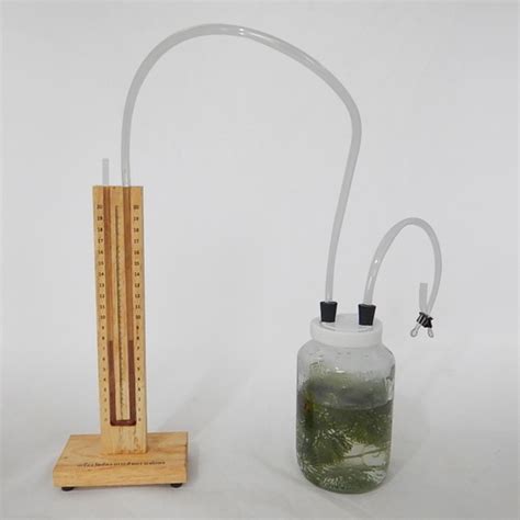 เครื่องวัดอัตราการสังเคราะห์แสง