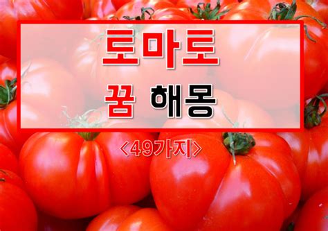 토마토 꿈 49가지 해몽 토마토 먹는 꿈 토마토 따는 꿈 토마토 사는 꿈 토마토 받는 꿈 방울토마토 꿈 빨간토마토 꿈 Helpful Information