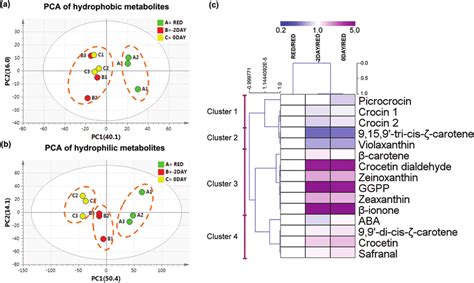 Metabolic Shifts And Hierarchical Clustering Analysis Of The 15