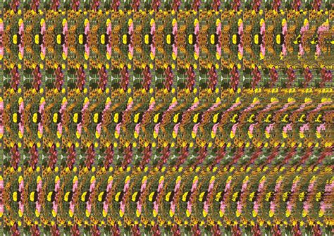 Hidden Pattern — коллекция фото и изображений по теме ДзенРус