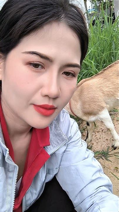 กินทุกอย่างว่าแต่เป็นของปลูก ประเทศลาว สาวลาว Youtube