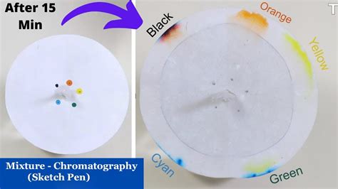 Mixture Chromatography Sketch Pen Thinktac Youtube