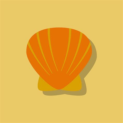 가리비 껍질 스케치 스타일 현실적인 벡터 Ai Eps Uidownload