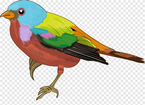 عصفور كرتون Png