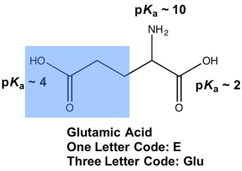 Mcat Amino Acids What To Know Magoosh Mcat Blog